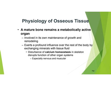 SOLUTION Physiology Of Osseous Tissue Studypool