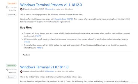 Windows Terminal 安装及配置指南windows Terminal Github安装 Csdn博客