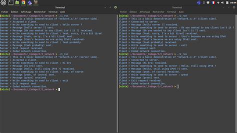 Github Iasebsil83cnetwork Simple Easy To Use C Library For Manipulating Tcpudp Networks In