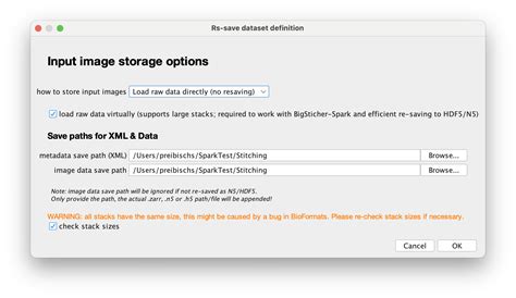 Bigstitcher 433 Parsing Xml Fails In Windows Usage And Issues