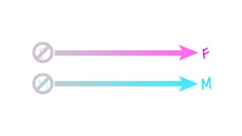 Why Think Of Gender On Scales Instead Of A Spectrum It S Pronounced Metrosexual