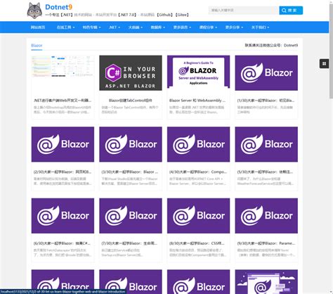 分享我做dotnet9博客网站时积累的一些资料 知乎