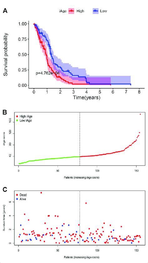 Gbm Subtype Classification Based On Iage A Kaplan Meier Survival Download Scientific Diagram