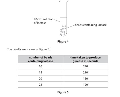 Lactase Is An Enzyme That Breaks Down Lactose Into Glucose And