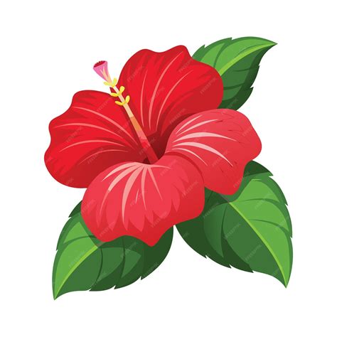 Premium Vector A Cute Hibiscus Looks Wow