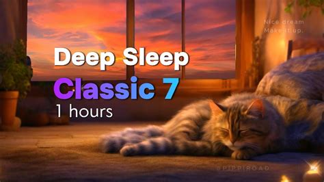 수면에 도움을 주는 추천 클래식 숙면 음악 1시간 편안한 밤 되세요 Youtube