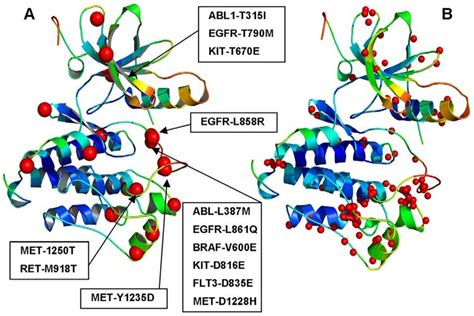 The Spatial Distribution Of Highly Oncogenic Mutations And Highly