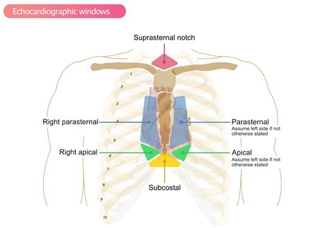 Standard Transthoracic Echocardiogram Complete Imaging Protocol