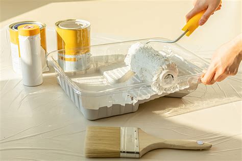 셀프홈케어페인트롤러 잡고 있는 사진 이미지 유토이미지 상세페이지 베이직샵 사진 22303470