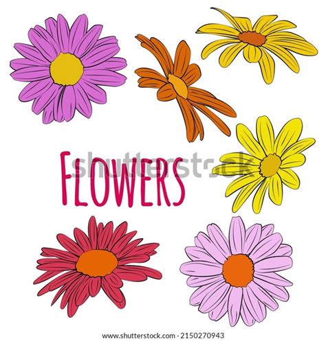 Set Colored Flowers Vector Graphics Stock Vector Royalty Free