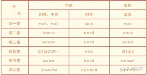 俄语语法 物主代词 知乎