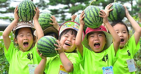 신나는 수박따기