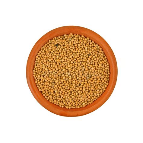 взгляд семени мустарда славный Стоковое Фото изображение насчитывающей экстренно соль 12772214