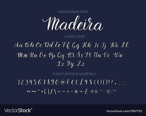 Handdrawn Script Font Brush Style Texture Vector Image