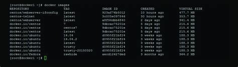 CentOS Running A Web Server Inside A Docker Container