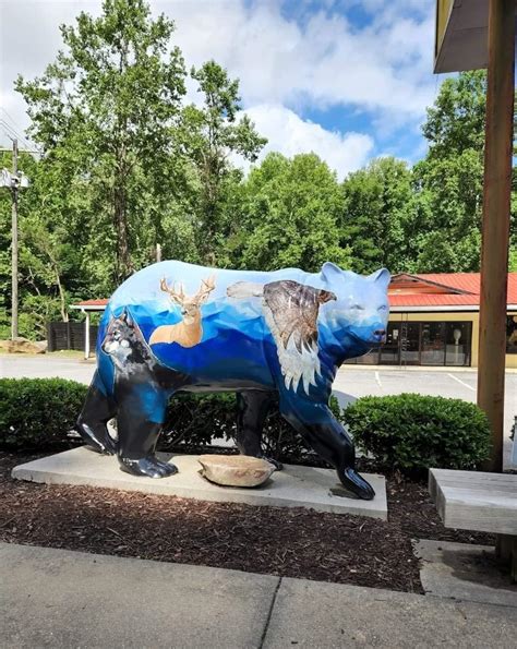 Were Going On A Bear Hunt The Cherokee Bear Project