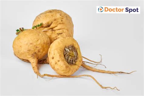 Health Benefits Of Maca Root