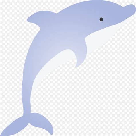 Png Png