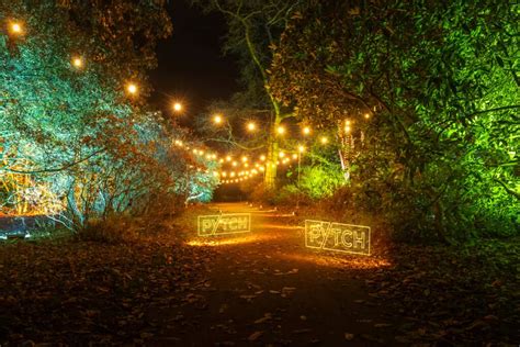 Types Of Light Source PYTCH