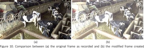 Figure 1 From A Computer Vision Approach Based On Deep Learning For The Detection Of Dairy Cows