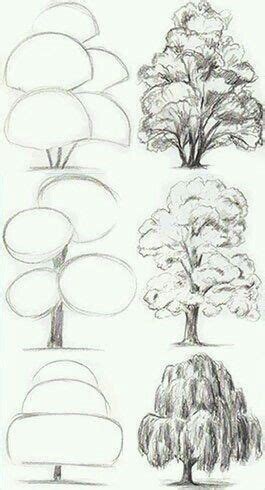 Best 13 How To Draw Realistic Trees Like A Pro Artofit