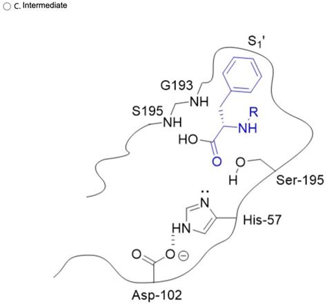 Solved The Kinetic Data For The Chymotrypsin Catalyzed
