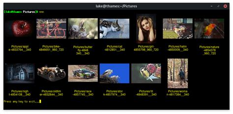 Excellent System Tools Nnn Portable Terminal File Manager Page Of LinuxLinks