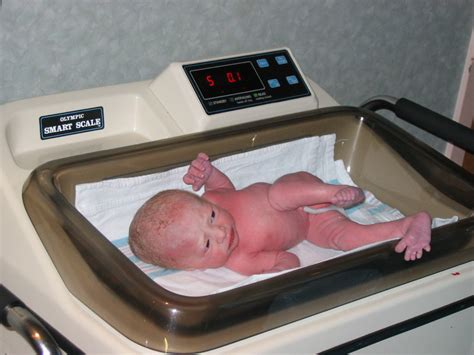 5 Pounds Anneke Ieda Flickr