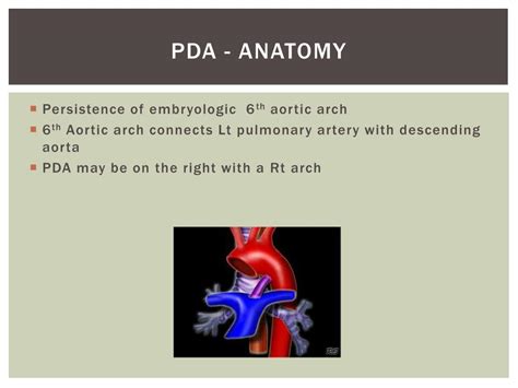 PPT Congenital Heart Disease With Left To Right Shunt PowerPoint Presentation ID 2221953
