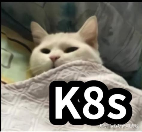 未来5~10年,go语言的发展前景会怎么样? 知乎 未来5~10年,go语言的发展前景会怎么样? 知乎