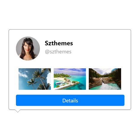 Popover Builder Responsive Wordpress Plugin By Szthemes Codecanyon