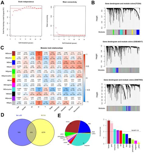 Weighted Gene Co Expression Network Construction A Scale Free Network Download Scientific