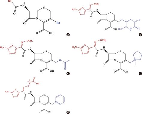 Hypersensitivity Pneumonitis Caused By Cephalosporins With Identical R1
