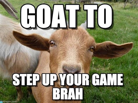 25 Extremely Entertaining Goat Memes