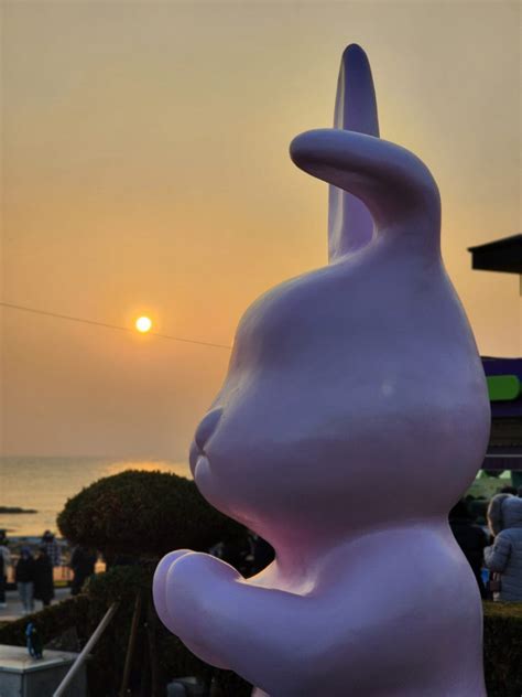 포항 호미곶 일출 토끼의 영민한 기운과 희망으로 떠올라 노컷뉴스