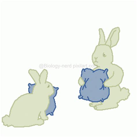 Pillow Fight  Cartoon At William Fellows Blog
