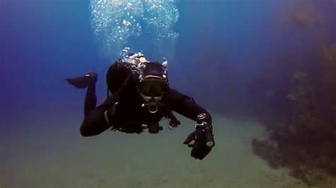 Santa Cruz Island Diving California Youtube
