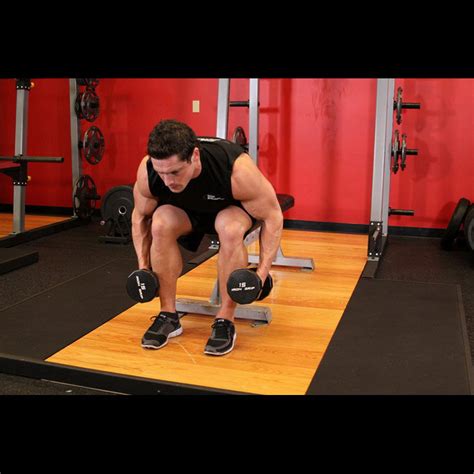 Разведение гантелей сидя в наклоне Каталог упражнений Бодибилдинг и фитнес бикини