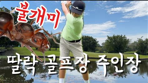 필리핀 딸락 골프장 도전적인 코스 불개미 파티 소개해유 필리핀골프 골프 어린이대회 가족 Youtube