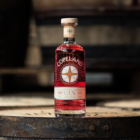 Raspberry And Mint Gin