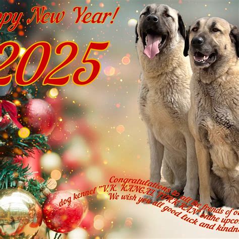 Виктор Кутузов С наступающим Новым годом ДРУЗЬЯ Instagram