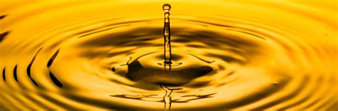 What Benefits Does Cold Extracted Oil Provide Carbonell