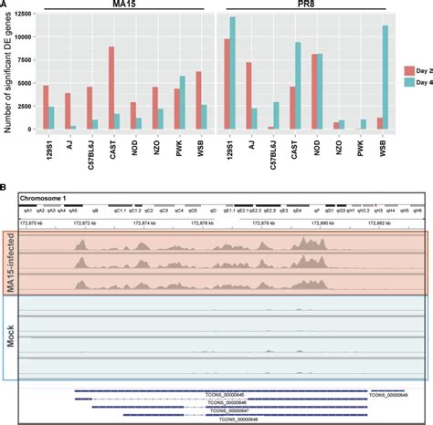 Differential Expression Of Novel Transcripts A The Number Of