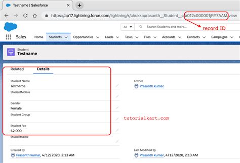 Salesforce Lightning Flow Builder Salesforce Tutorial Intervew Questions Certification 2024