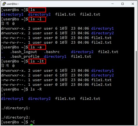 리눅스 Ls 명령어 디렉토리 내용 확인하기