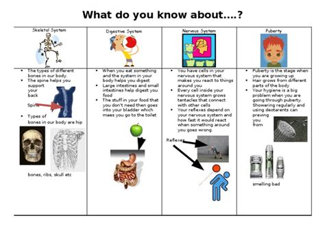 Basline Data Body Systems Pdf Self Improvement Wellness