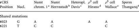 Variant Nucleotides Of Nuclear Inserts Of Mitochondrial Dna Mtdna Download Table