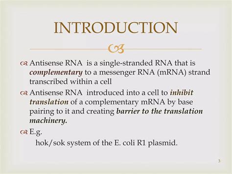 Antisense Rna Technology Pptx