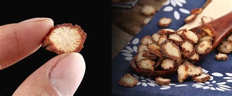 Dan Shen Dan Shen Herb Danshen Supplier Native Chinese