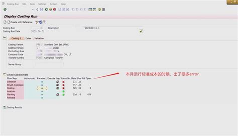 Sap公司代码创建报错问题解决攻略 Hcrm博客